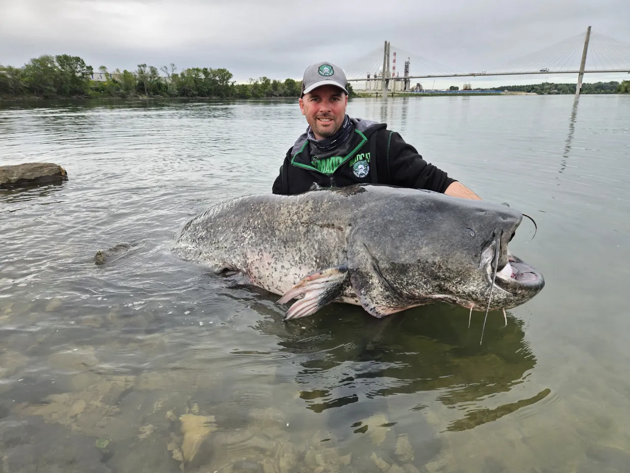 Beaucaire : un silure de 2,70 m pêché dans le Rhône ! | La Gazette