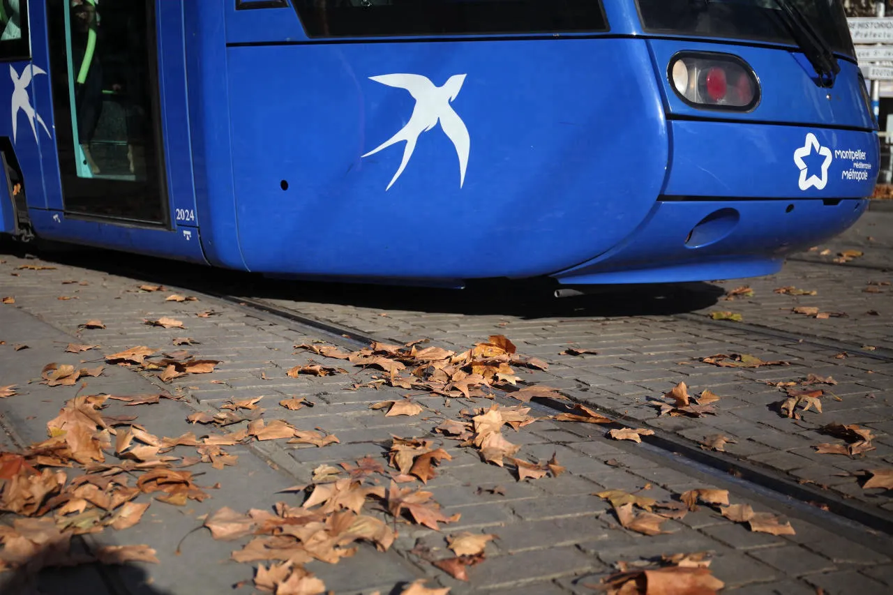 Tram et bus : des ajustements sur le réseau TaM à compter du 4 janvier ...