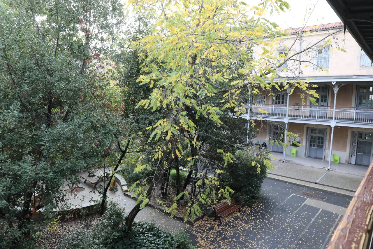 Après la chute d'un arbre, la cité scolaire Clémenceau rouvre ses ...