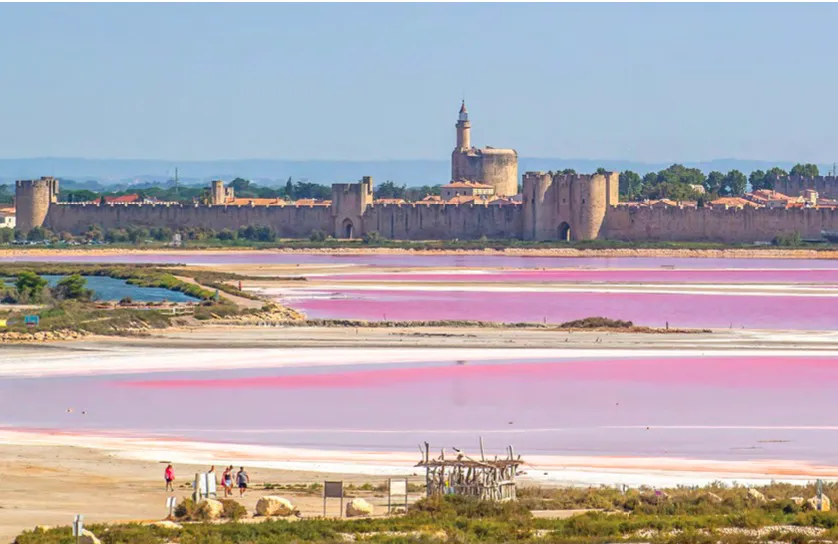 Boom touristique au Salin d'Aigues-Mortes | La Gazette