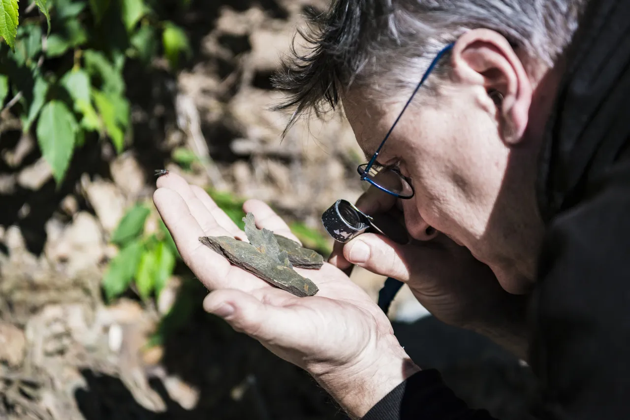 Les chasseurs de fossiles amateurs, des passionnés indispensables à la ...