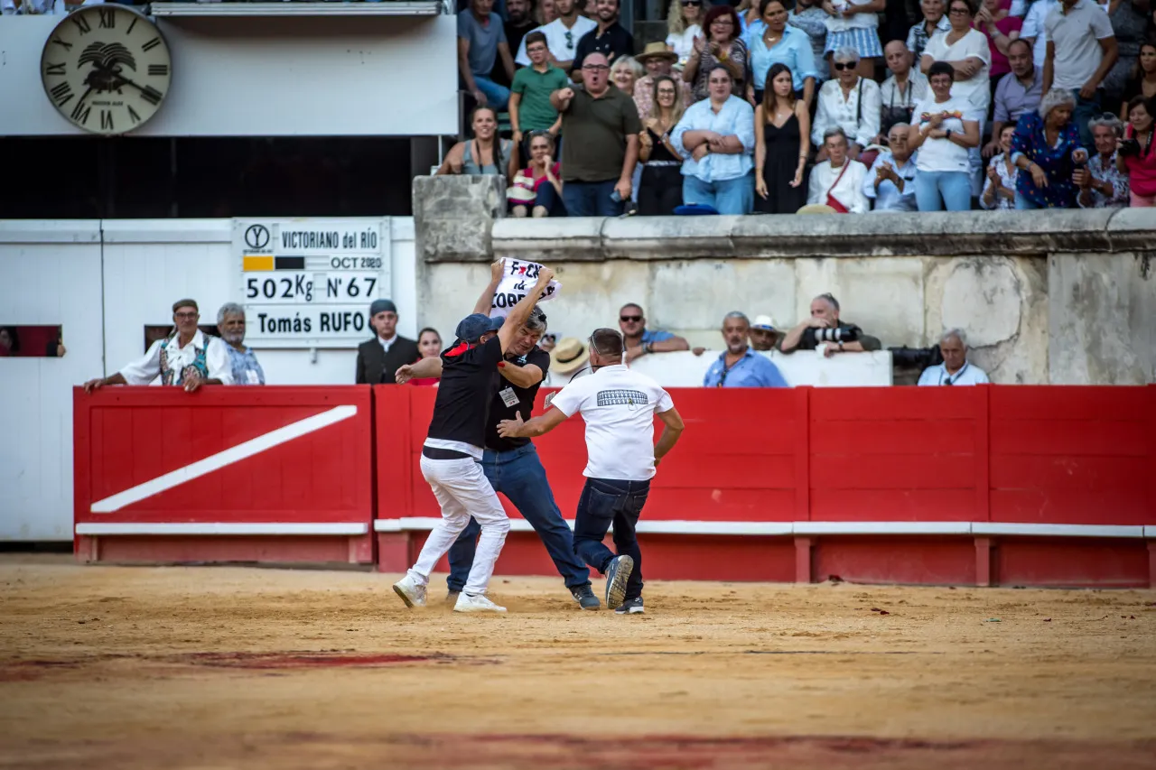 Feria. L'influenceur Jeremstar perturbe la corrida et brandit une pancarte "F*ck la corrida ...